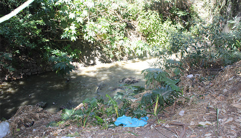 Salvemos el único río de la CdMx | SIMIPLANETA